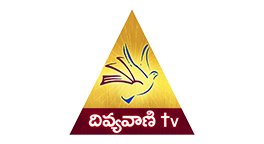 Airtel DTH Free to Air (FTA) Channel Number List with Prices| Airtel ...